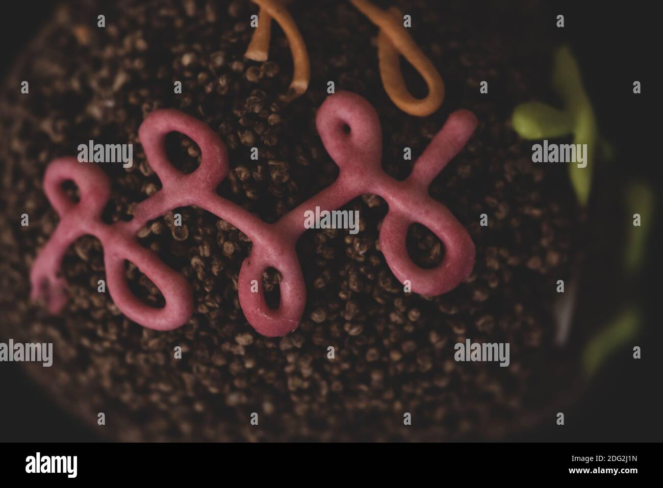 Traditional Amaranth candy Mexican skull, Day of the Dead, black ...