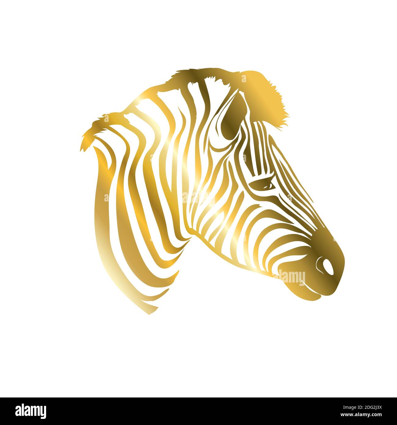 Zebra Vectors High Resolution Stock Photography and Images - Alamy