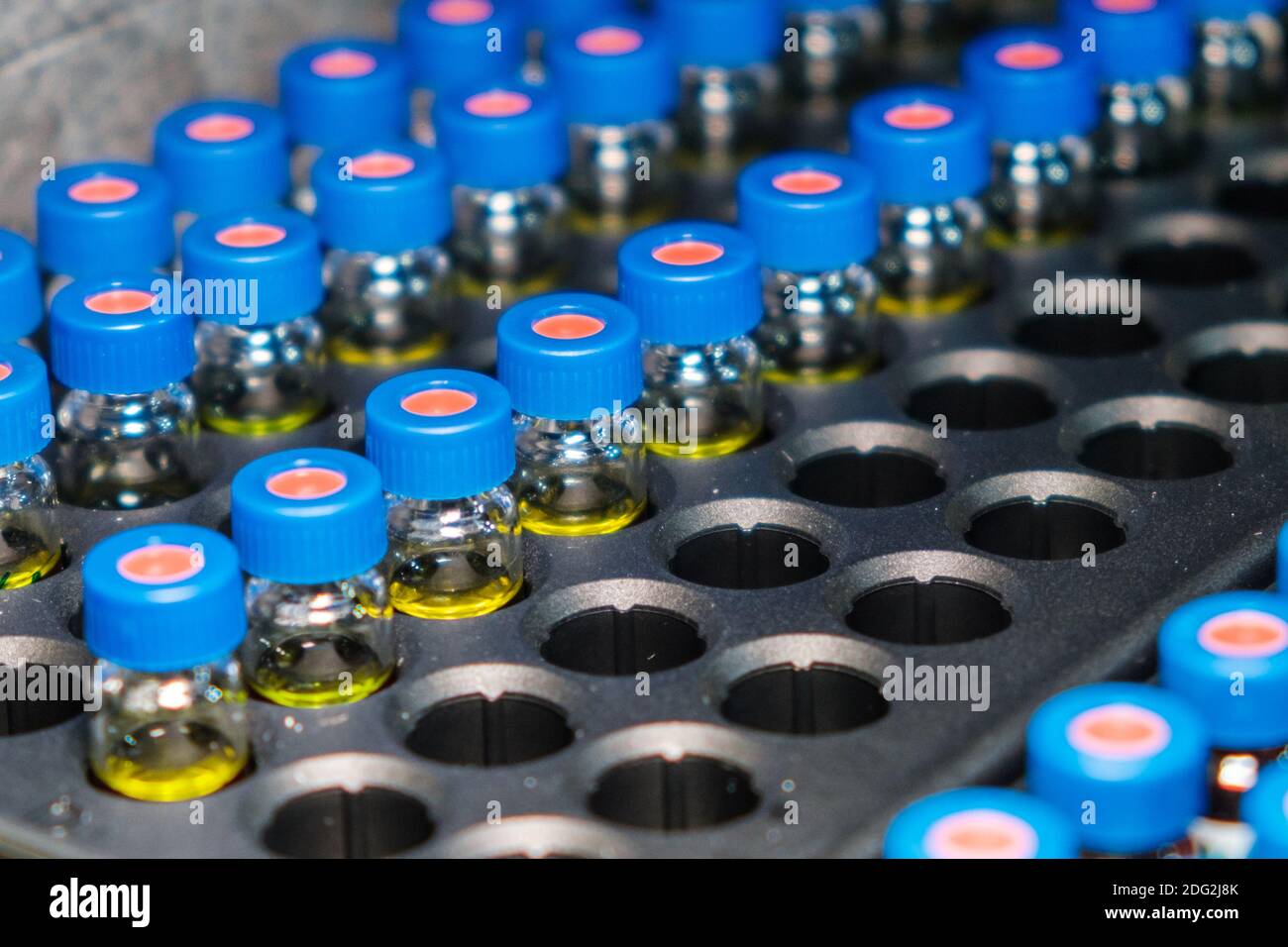 HPLC glass vials in the rack. Research and development of ...