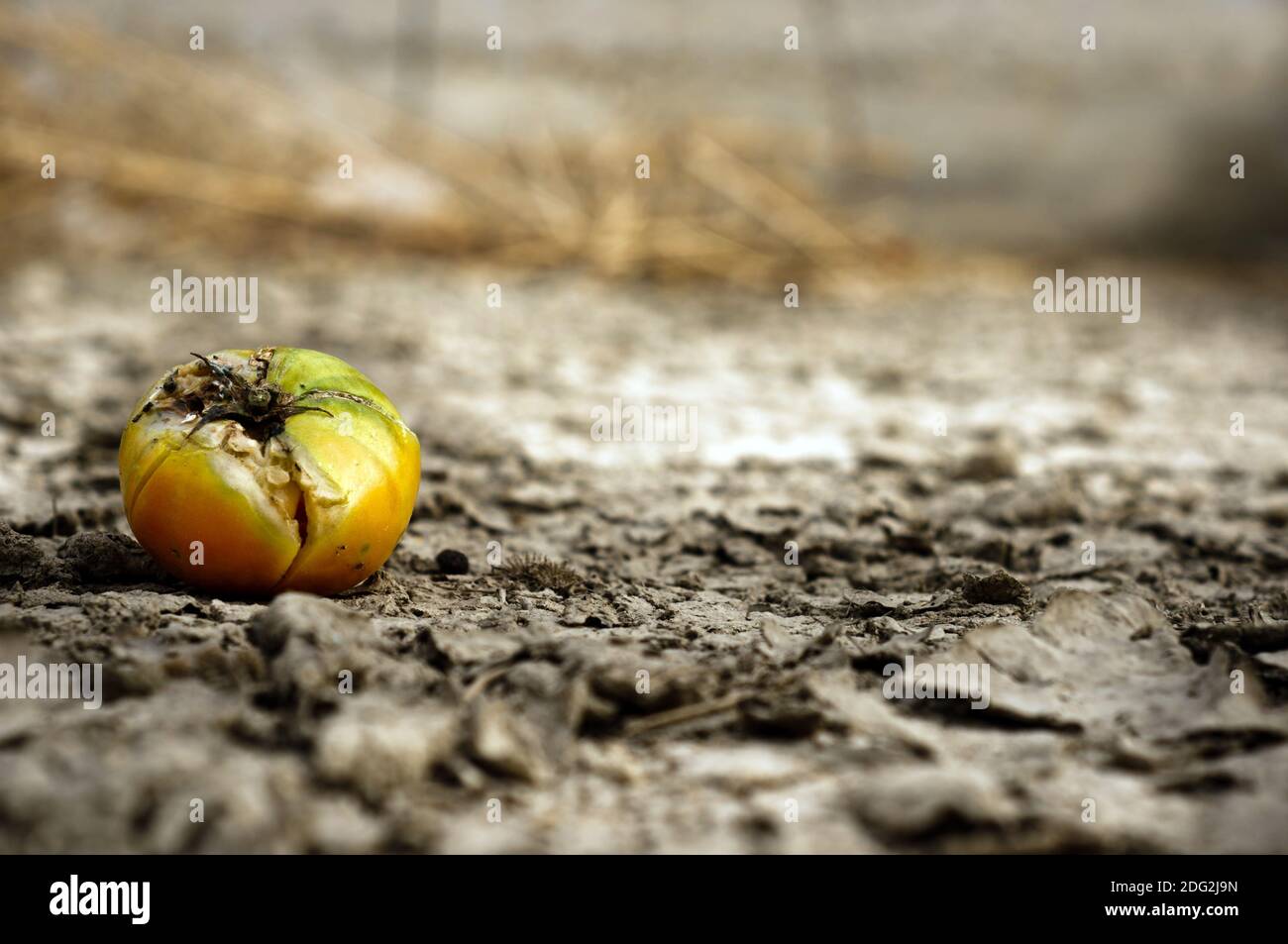 Rooten hi-res stock photography and images - Alamy