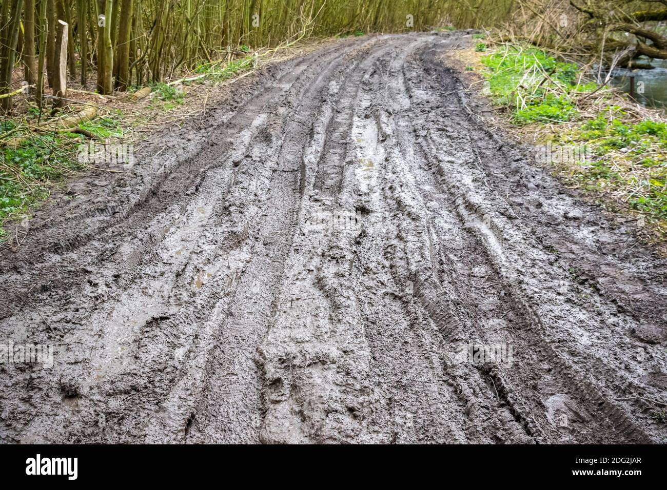 Muddy Trail High Resolution Stock Photography and Images - Alamy
