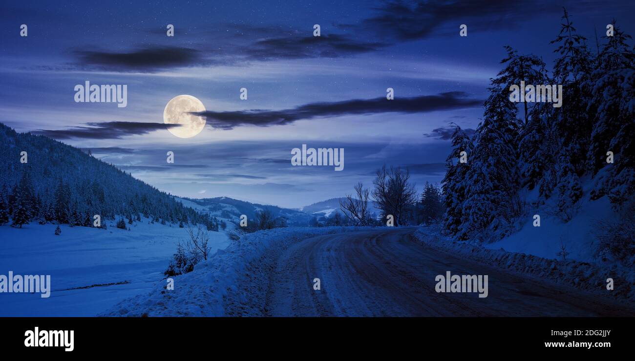 Dark forest road night hi-res stock photography and images - Alamy