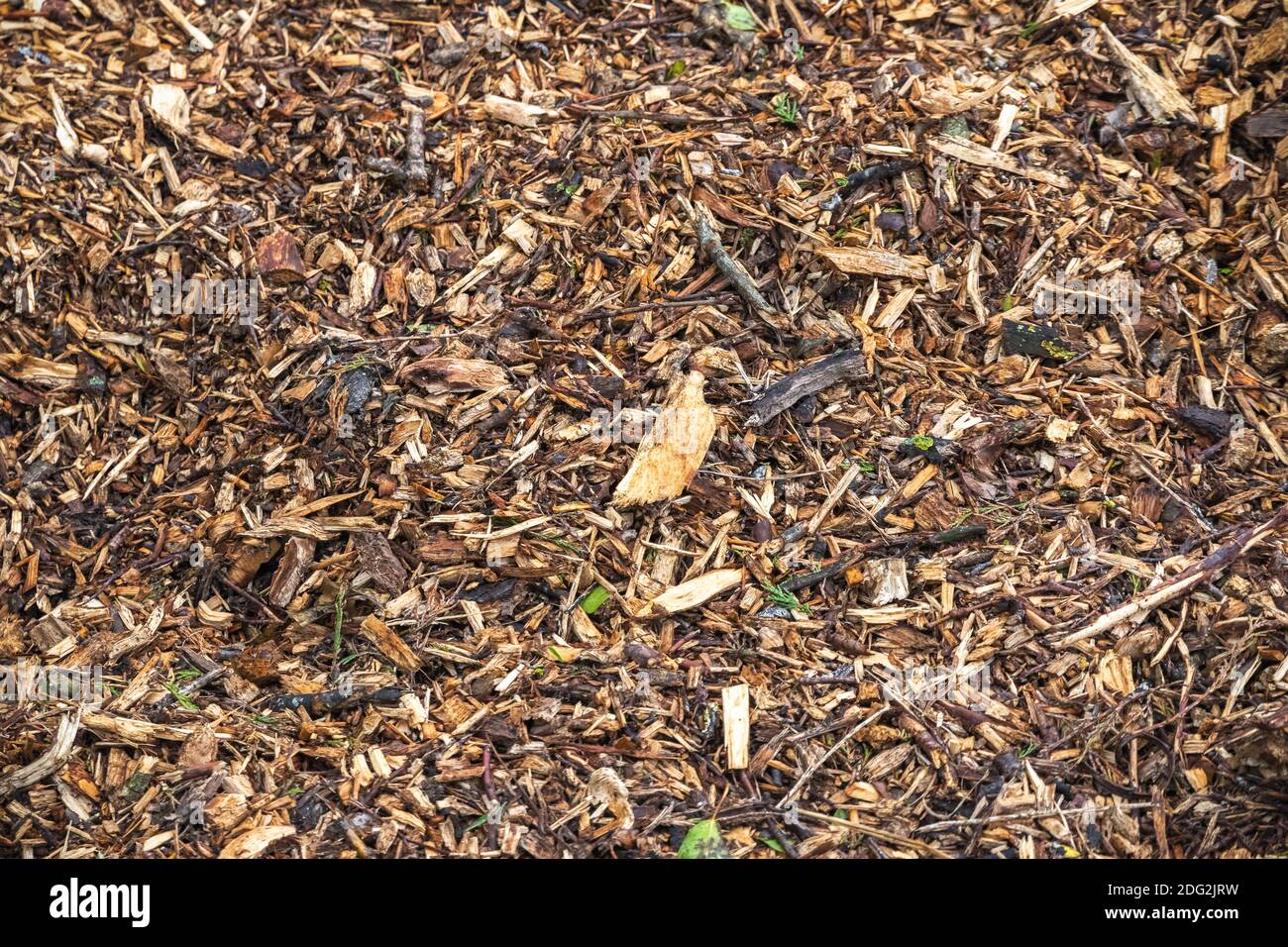 Chip log hi-res stock photography and images - Alamy