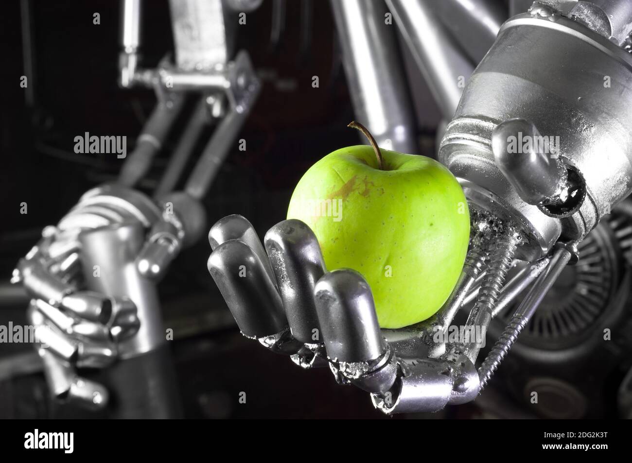 Robot hand holding hi-res stock photography and images - Alamy