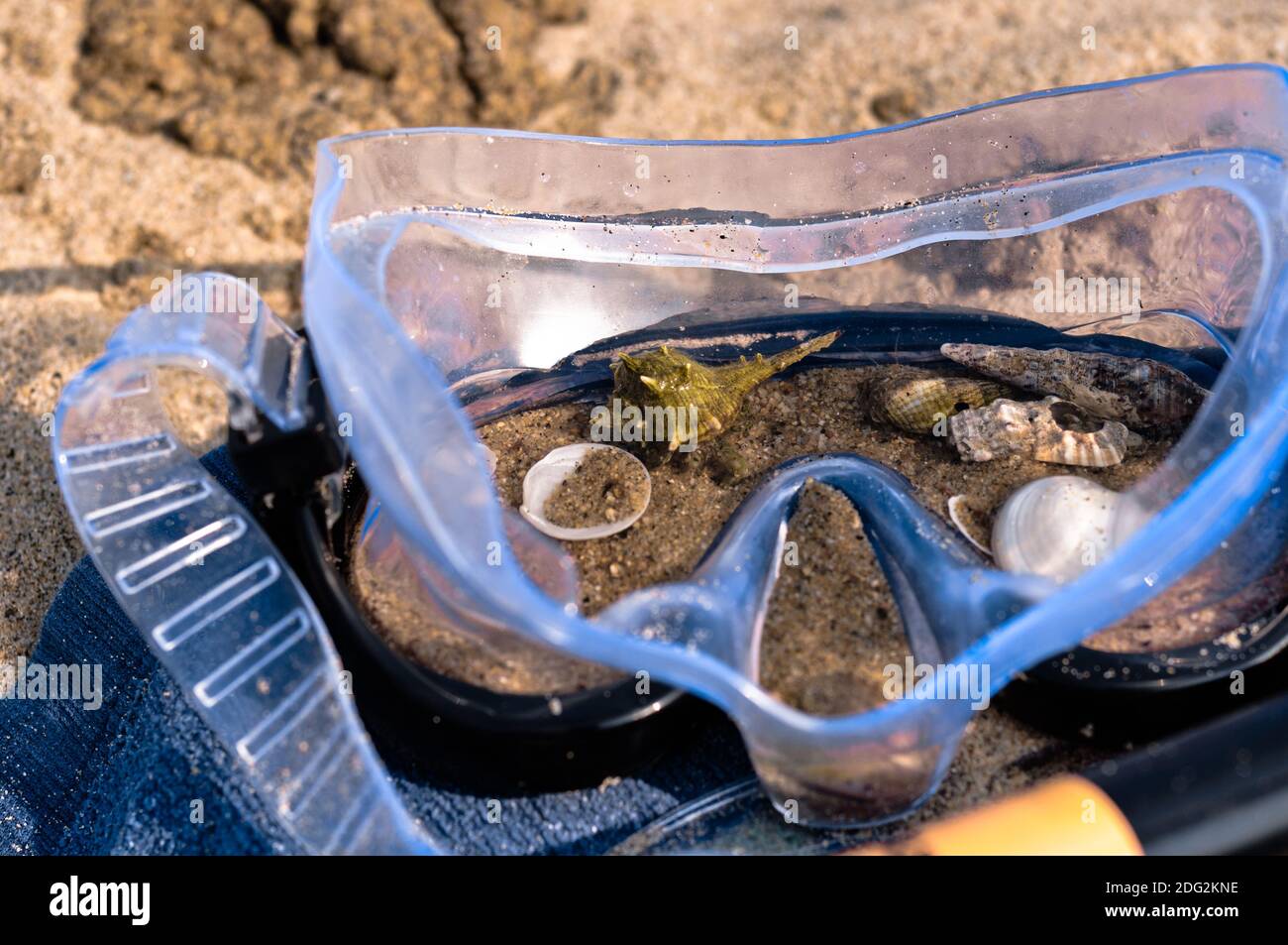 Plastic Snails High Resolution Stock Photography and Images - Alamy