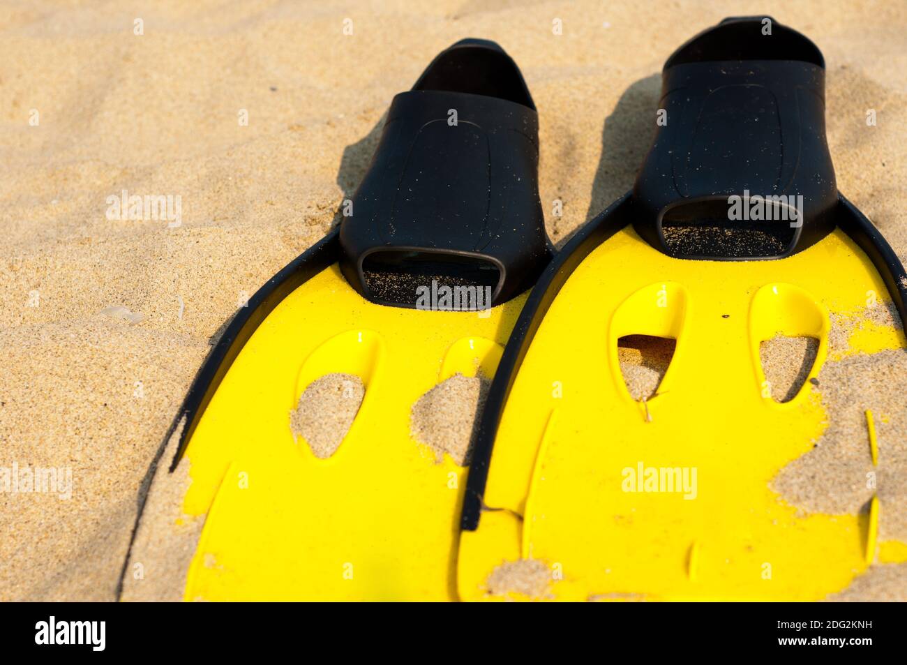 Trip Flippers High Resolution Stock Photography and Images - Alamy