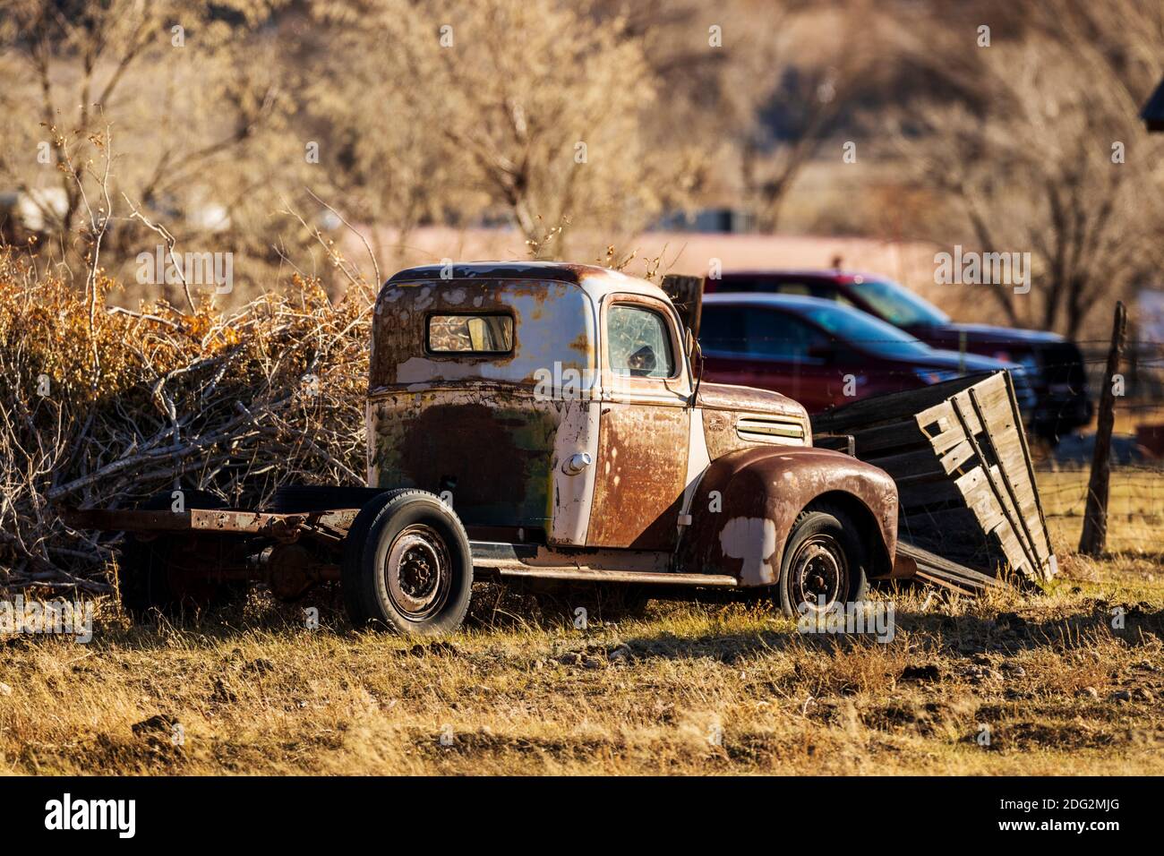 Antique Ford pick-up truck in ranch field; Salida; Colorado; USA Stock ...