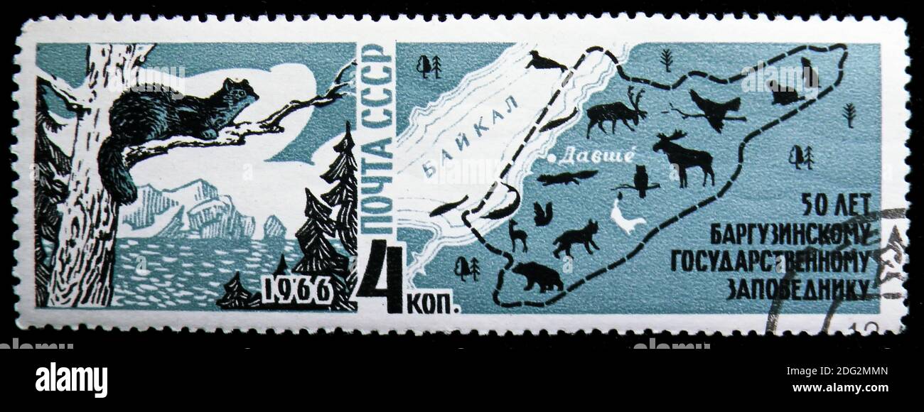 MOSCOW, RUSSIA - NOVEMBER 10, 2018: A stamp printed in USSR (Russia ...