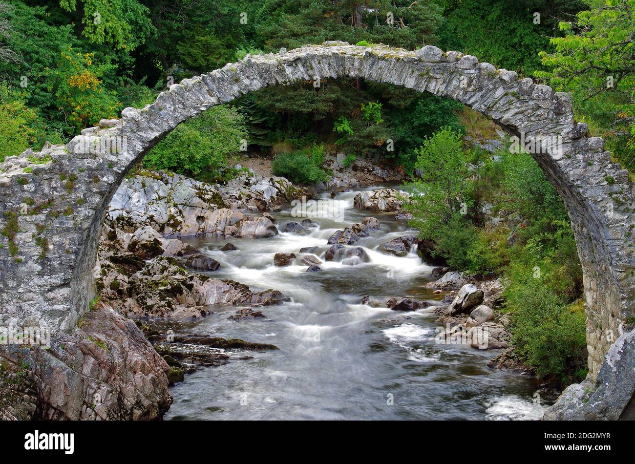 Carrbridge hi-res stock photography and images - Alamy