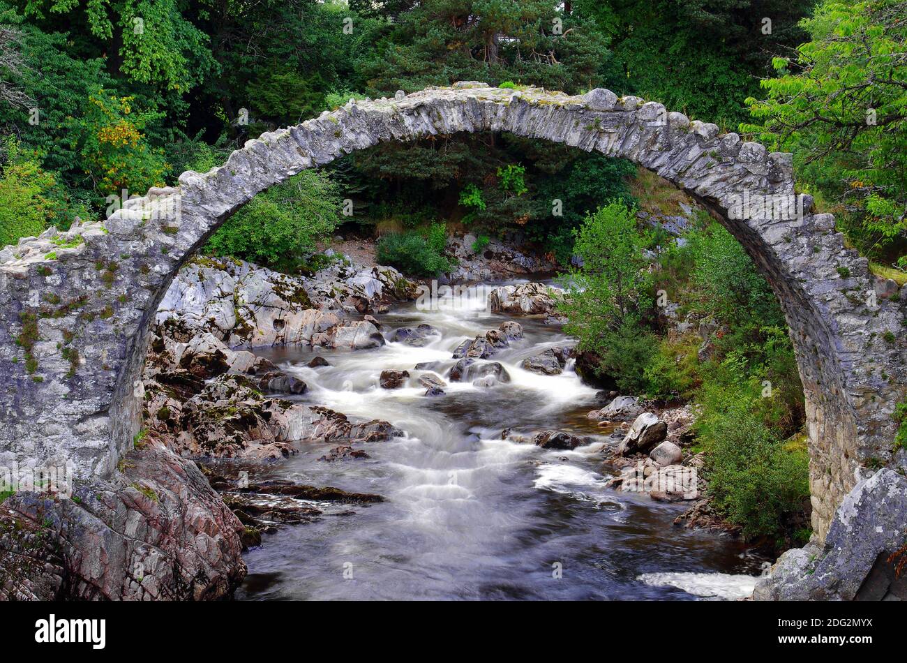 Carrbridge hi-res stock photography and images - Alamy