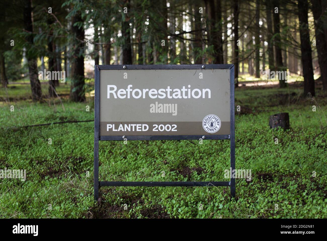 Reforestation forest oregon garden hi-res stock photography and images ...