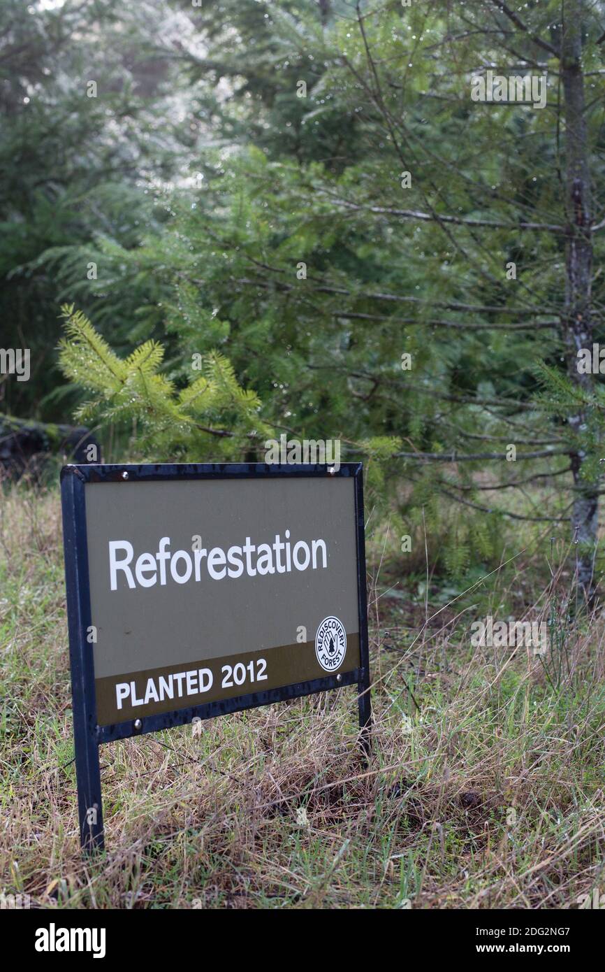 A sign for a reforestation area, planted in 2012, in Silverton, Oregon ...