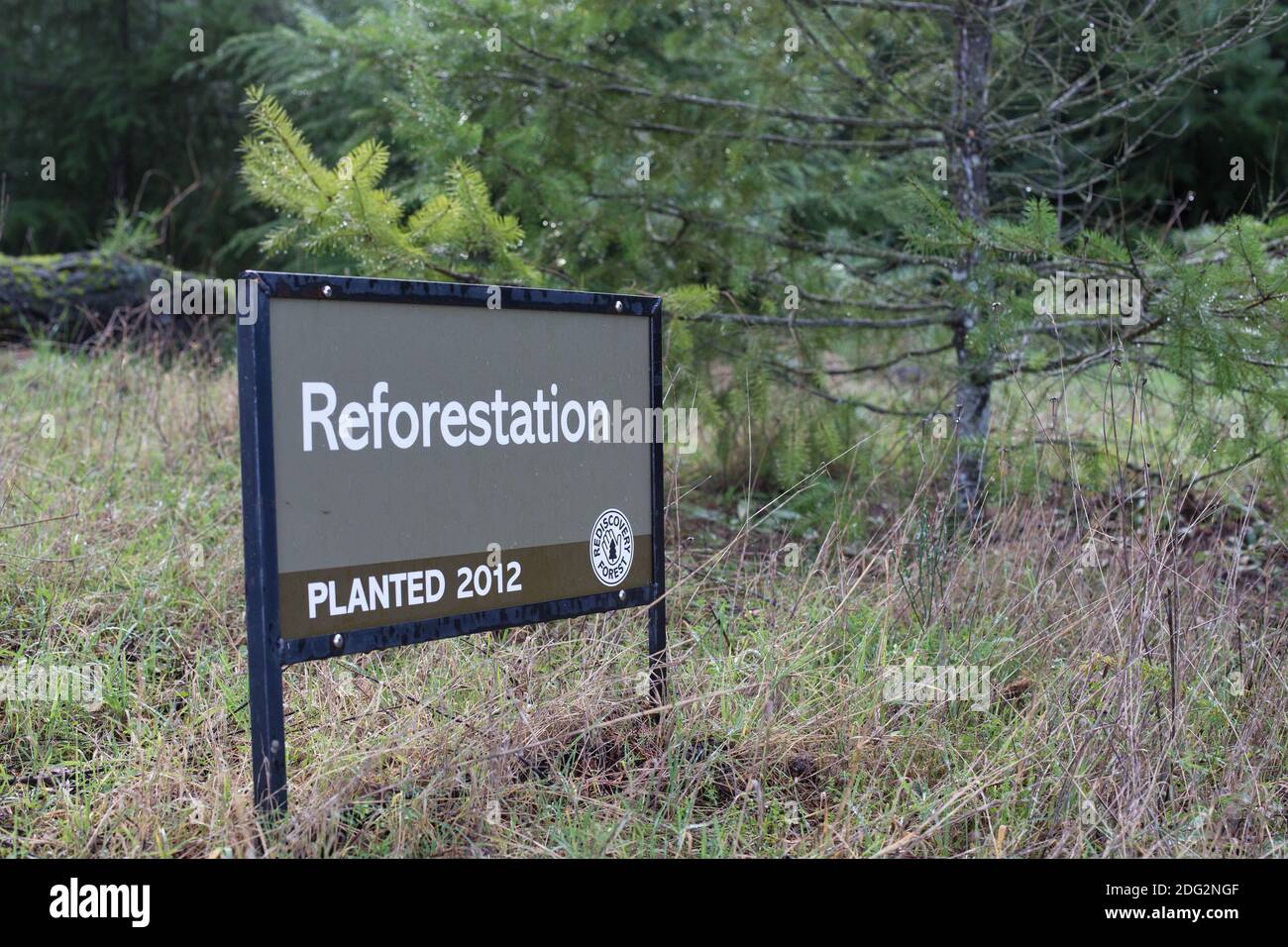 A sign for a reforestation area, planted in 2012, in Silverton, Oregon ...