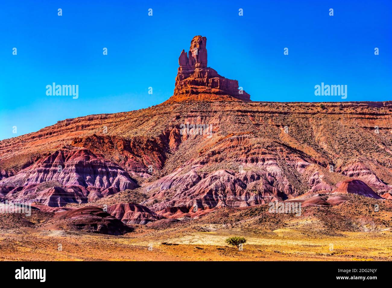 Sitting hen hi-res stock photography and images - Alamy