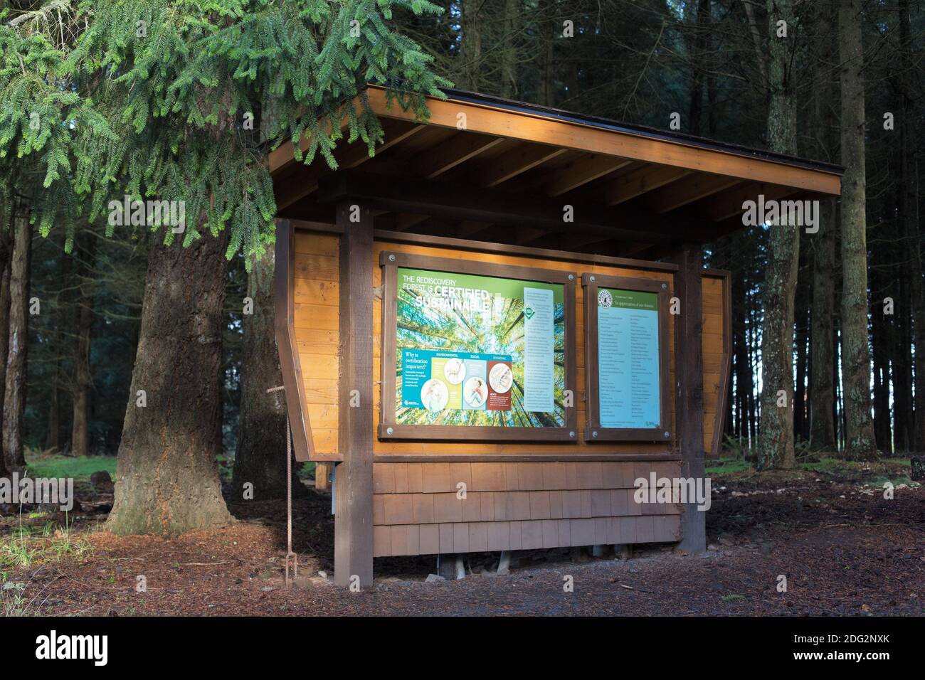 Sustainable forest management hi-res stock photography and images - Alamy