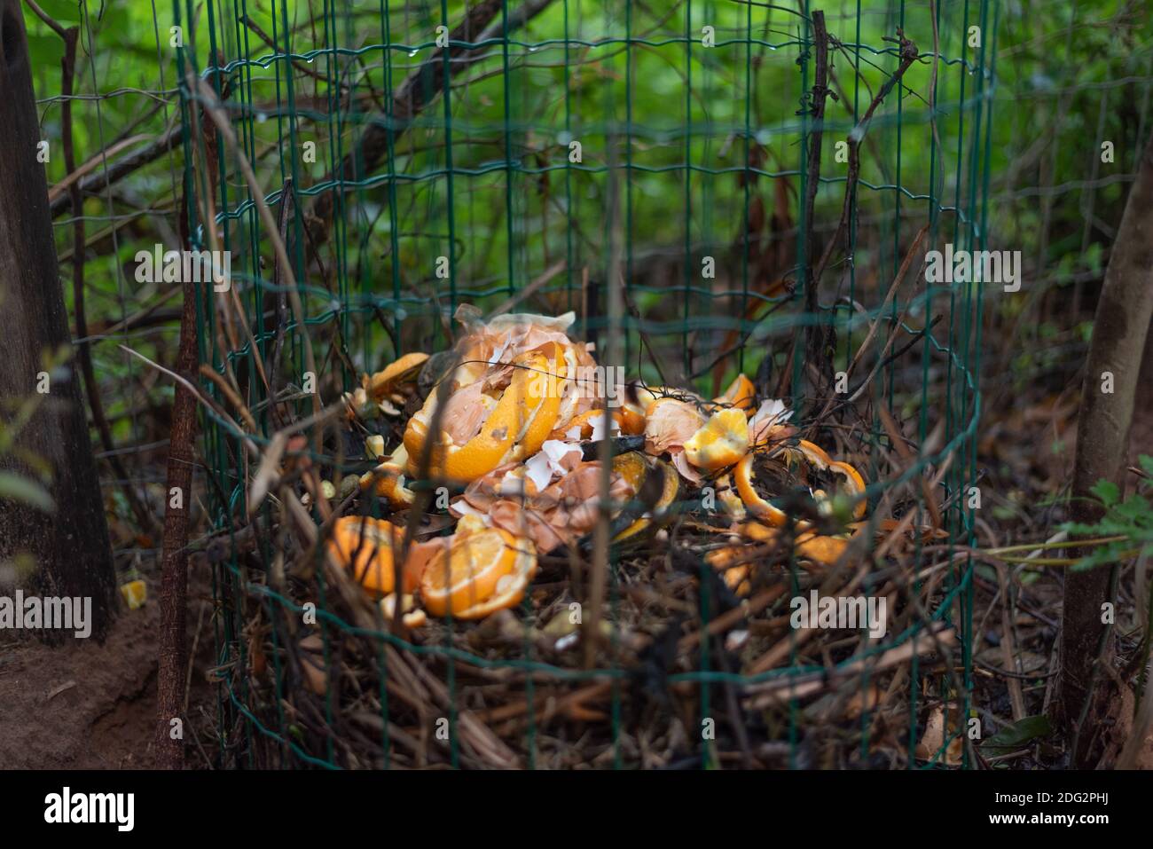 Onion waste hi-res stock photography and images - Alamy