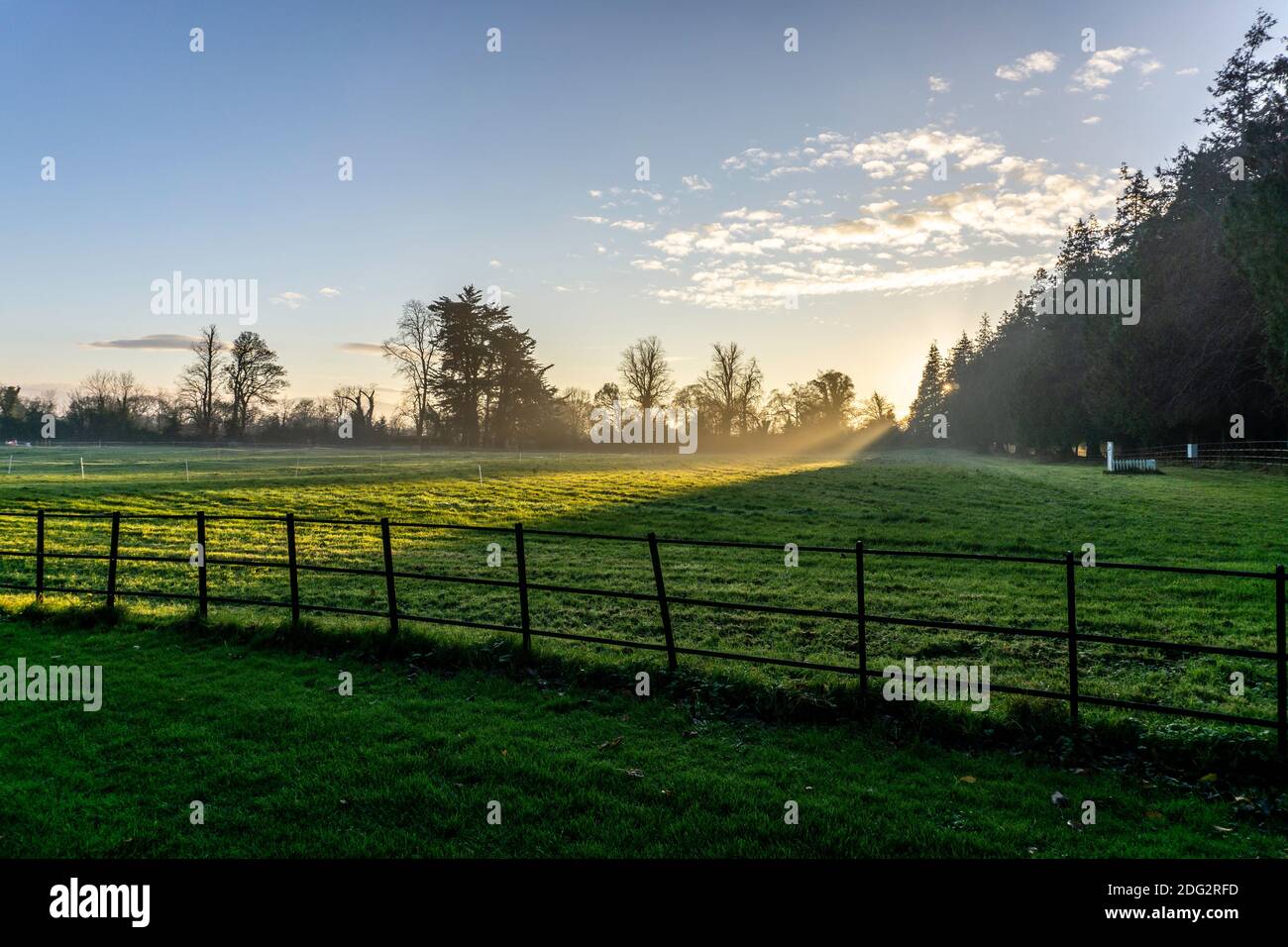 Dusk falling in the Farmleigh Estate in Dublin, Ireland on a bright ...