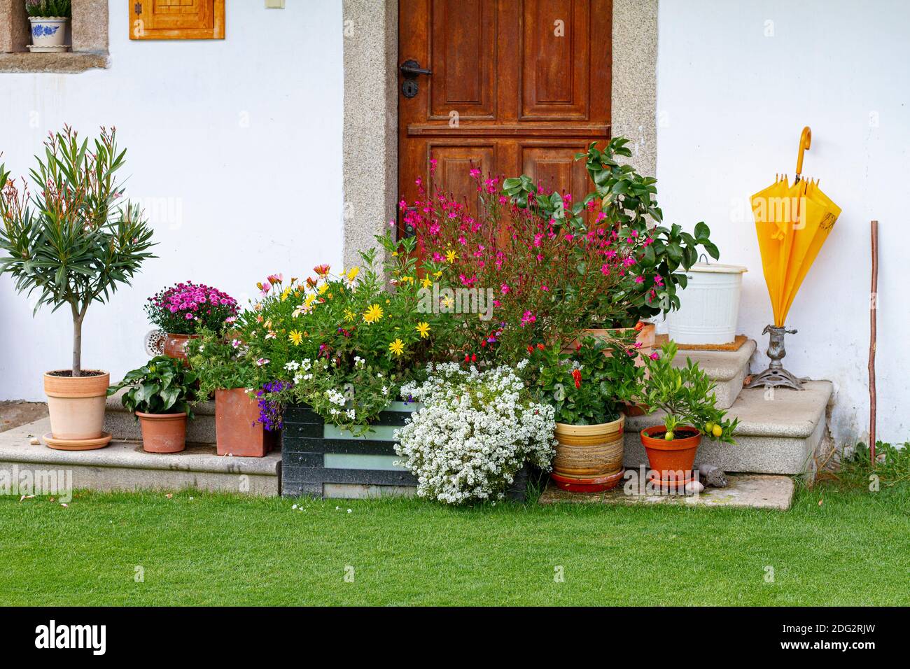 Doorstep garden hi-res stock photography and images - Alamy