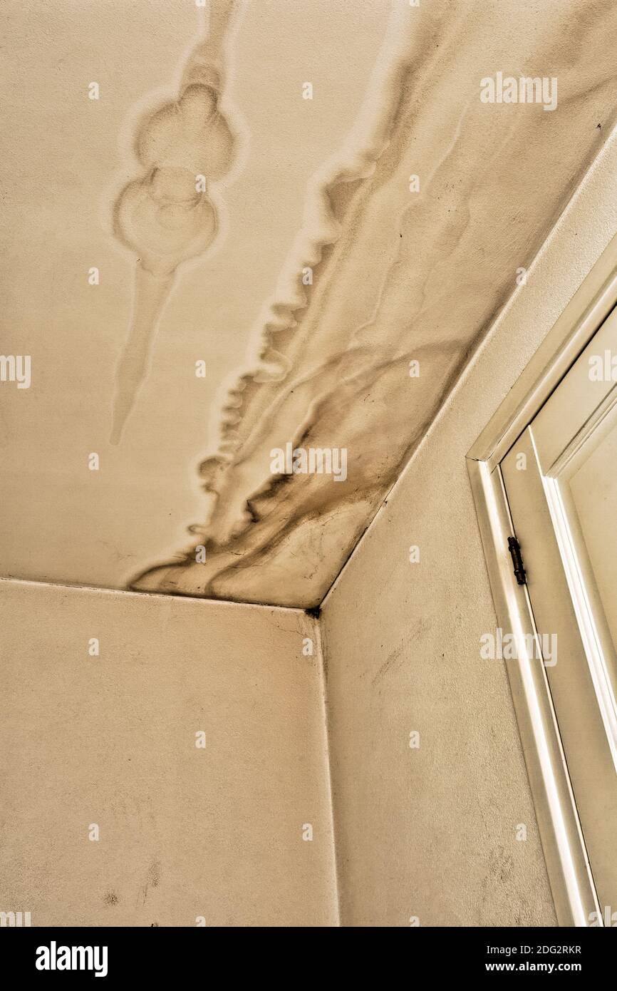 Roof leakage, ceiling water dameged ceiling roof and stain on ceiling ...