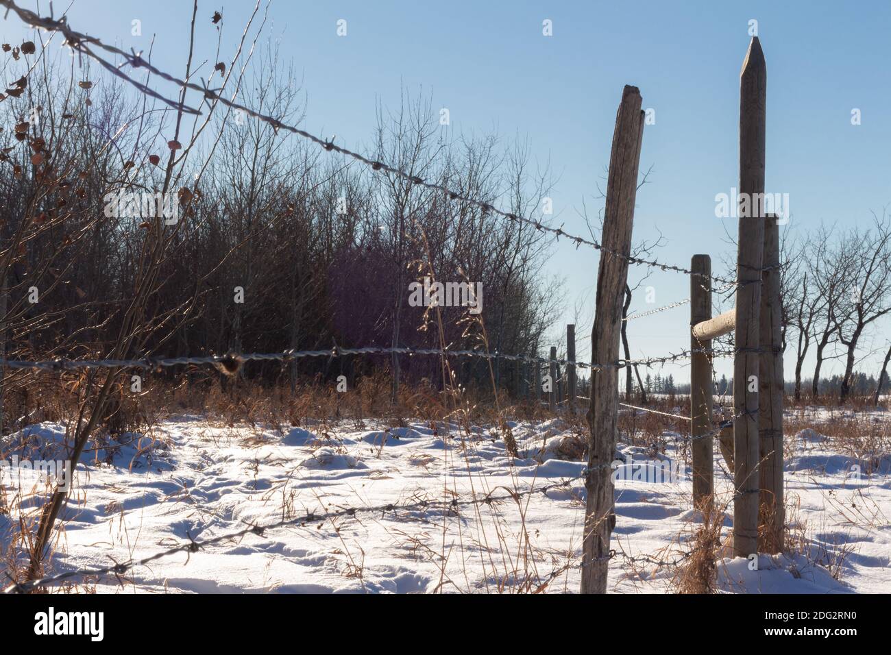 Brown fence posts hi-res stock photography and images - Alamy