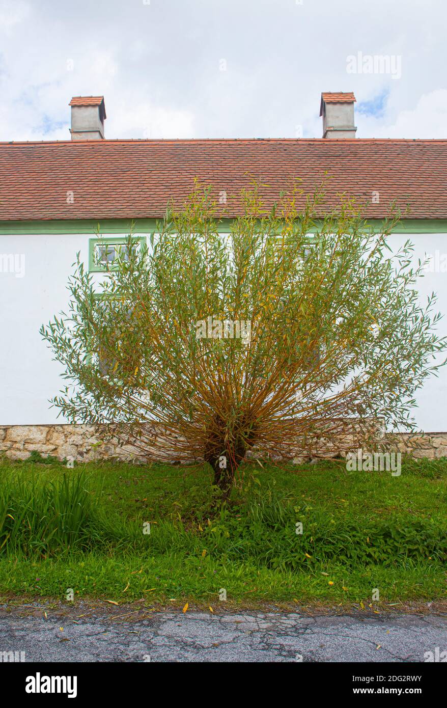 Rural czech village house with typical colorful facade Stock Photo - Alamy