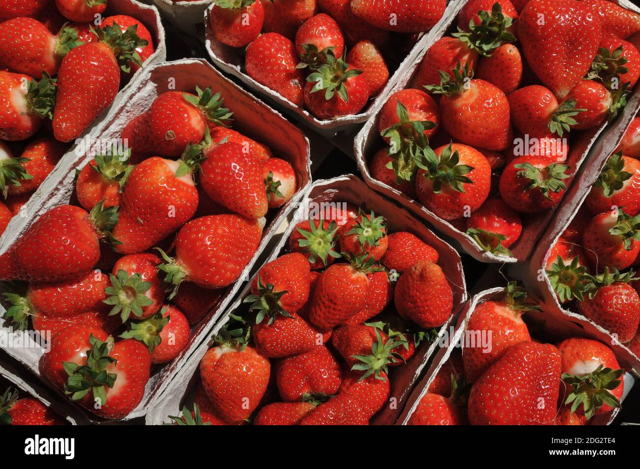 Strawberries in a cardboard cup Stock Photo - Alamy