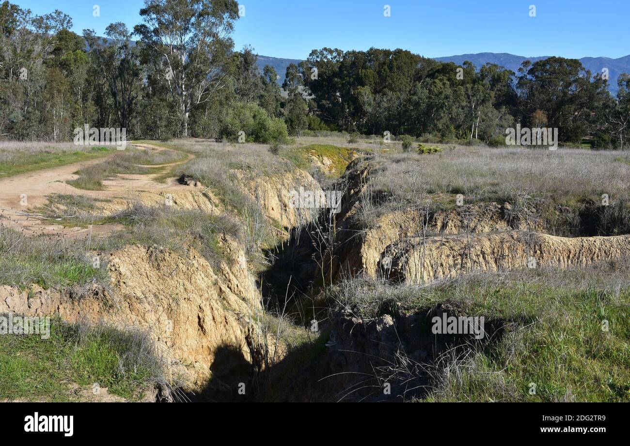 Pathways along a rural ravine and sink hole Stock Photo - Alamy
