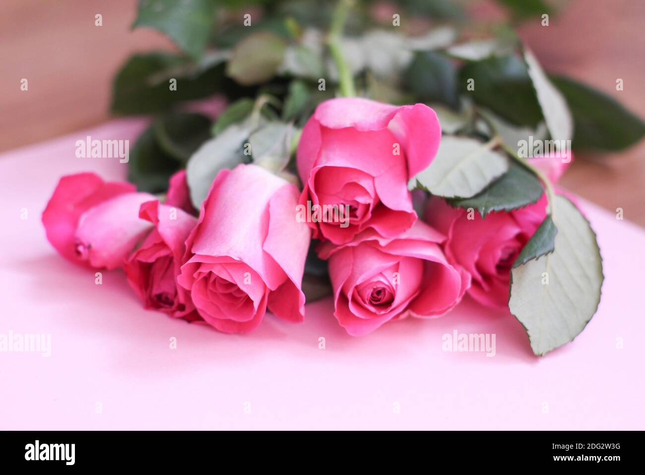 Beautiful pink fresh roses bouquet on soft background Stock Photo - Alamy
