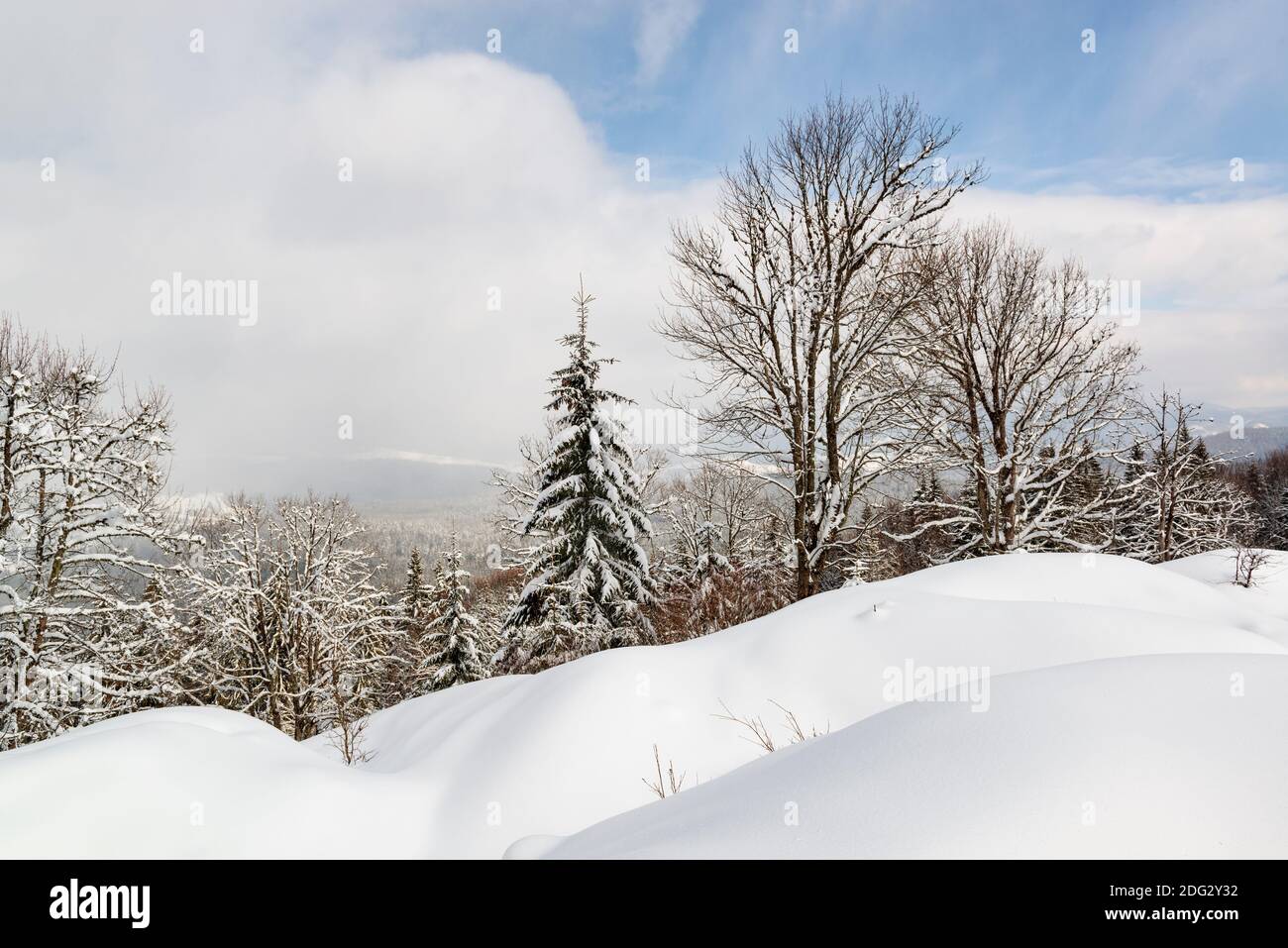 Deep snowy winter panorama hi-res stock photography and images - Alamy