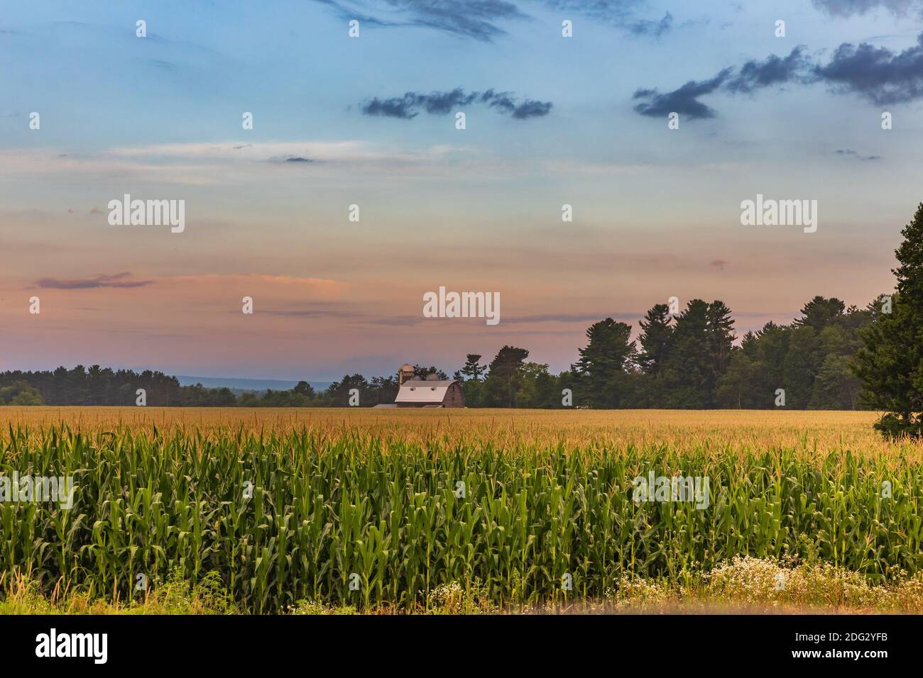 Northern Wisconsin farm on a July morning Stock Photo - Alamy