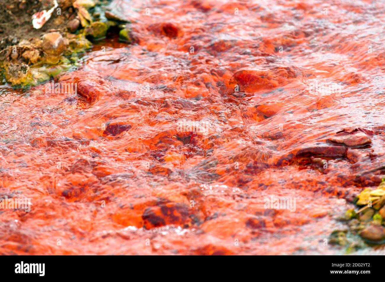 Polluted stone hi-res stock photography and images - Alamy