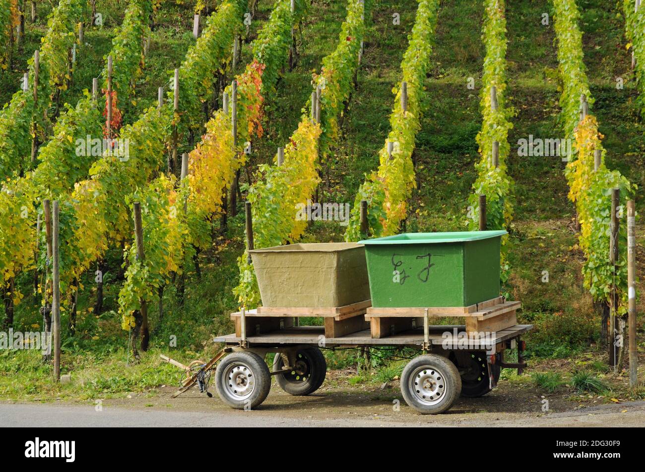 Wine growing tradition hi-res stock photography and images - Alamy