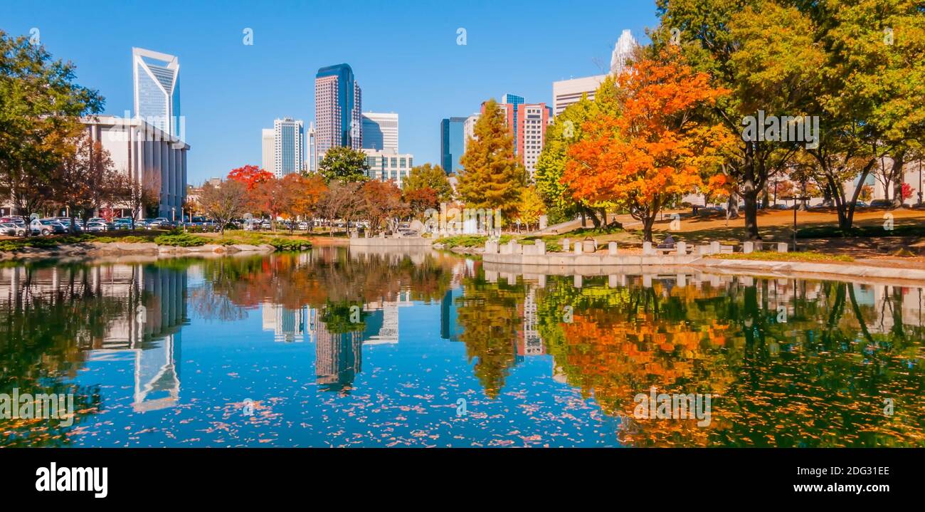 Charlotte nc trees hi-res stock photography and images - Alamy