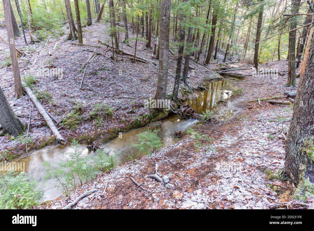 Babbling brook hi-res stock photography and images - Alamy