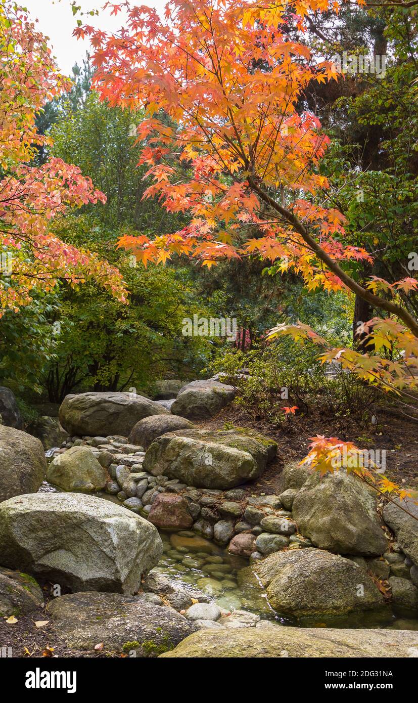 Brook little hi-res stock photography and images - Alamy