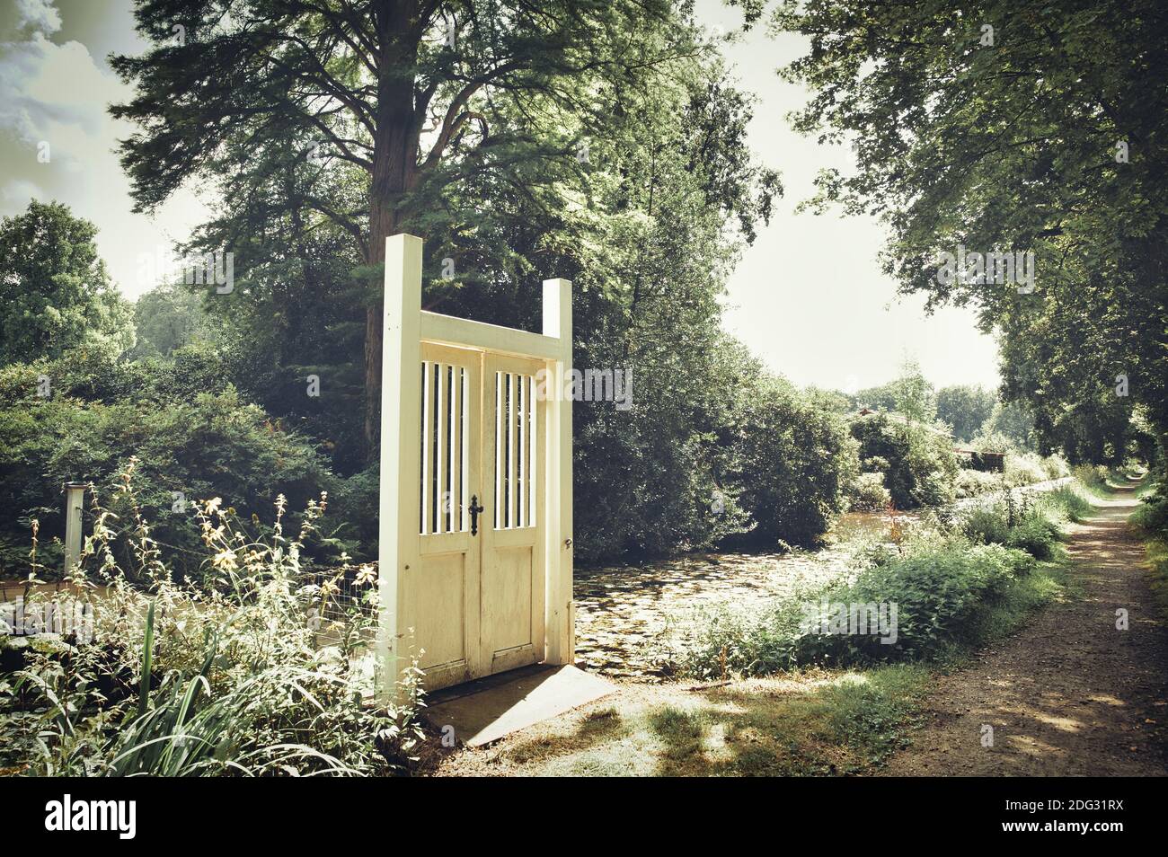 Bird catch station Stock Photo - Alamy