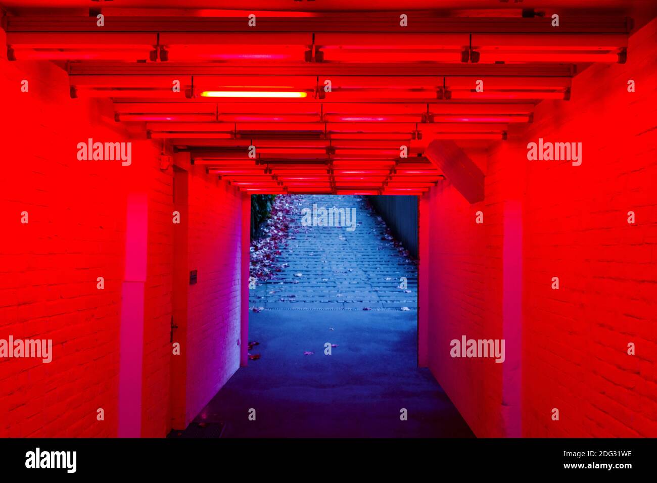 Neon red tunnel hi-res stock photography and images - Alamy