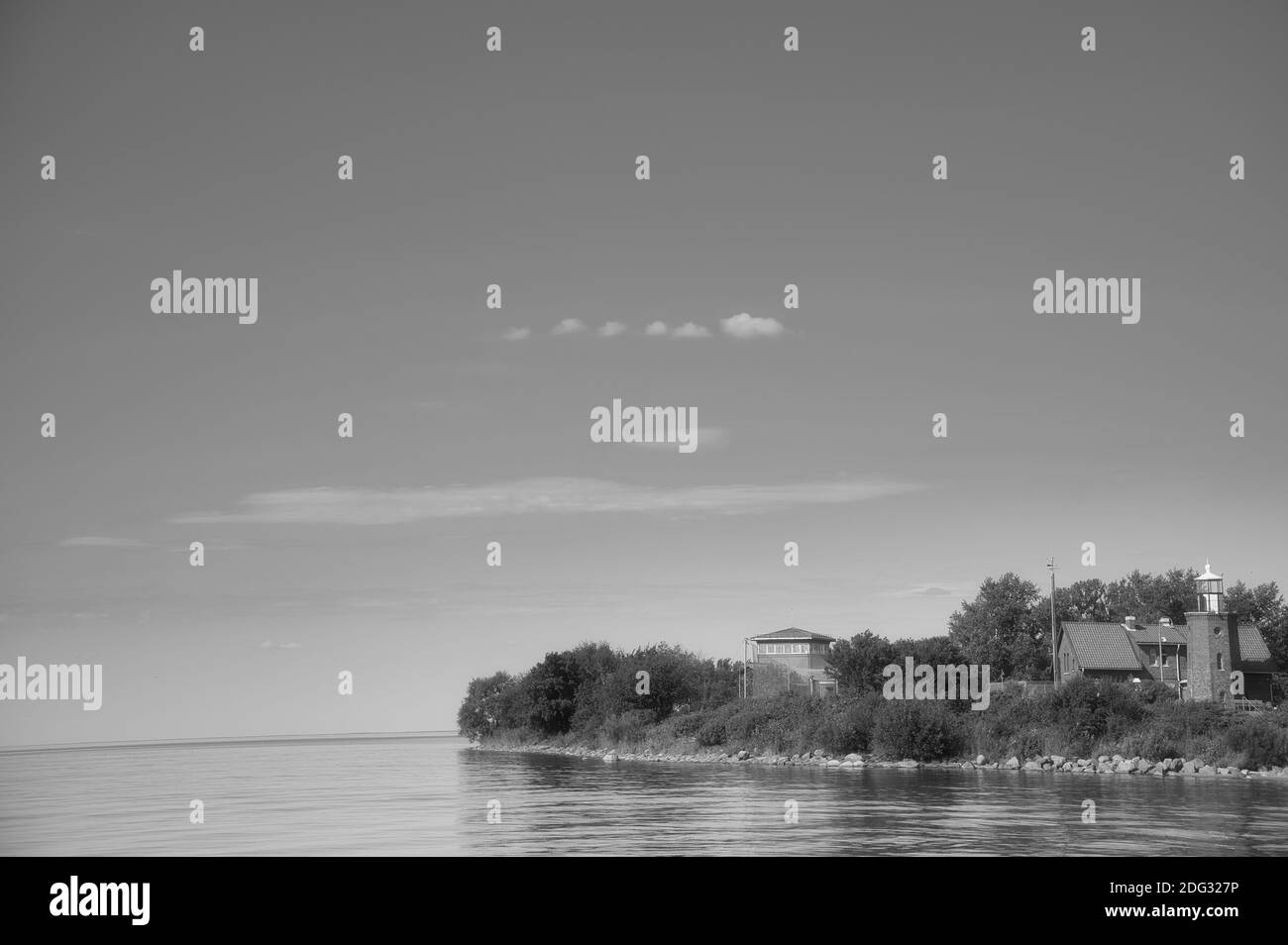 Bird catch station Stock Photo - Alamy