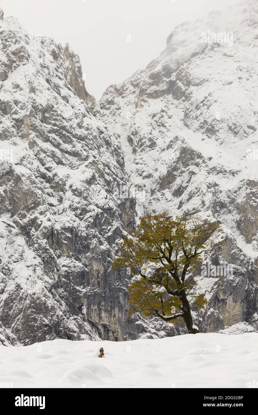 Winter has come Stock Photo - Alamy