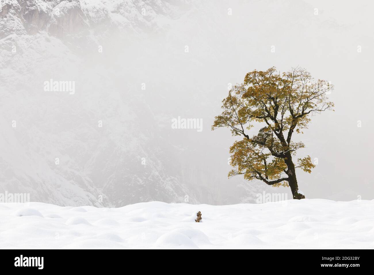 Winter has come Stock Photo - Alamy