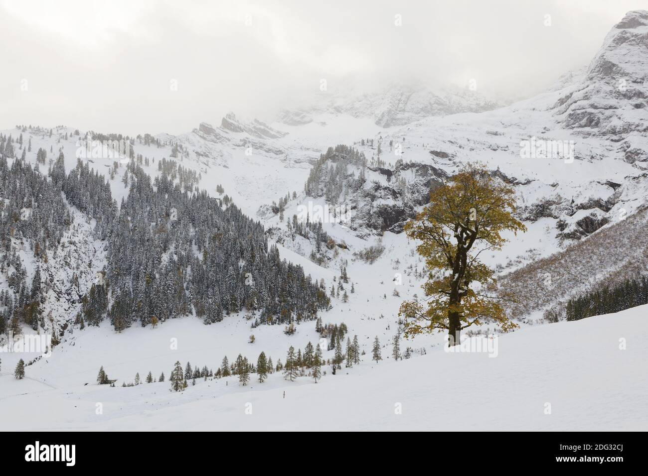 Winter has come Stock Photo - Alamy