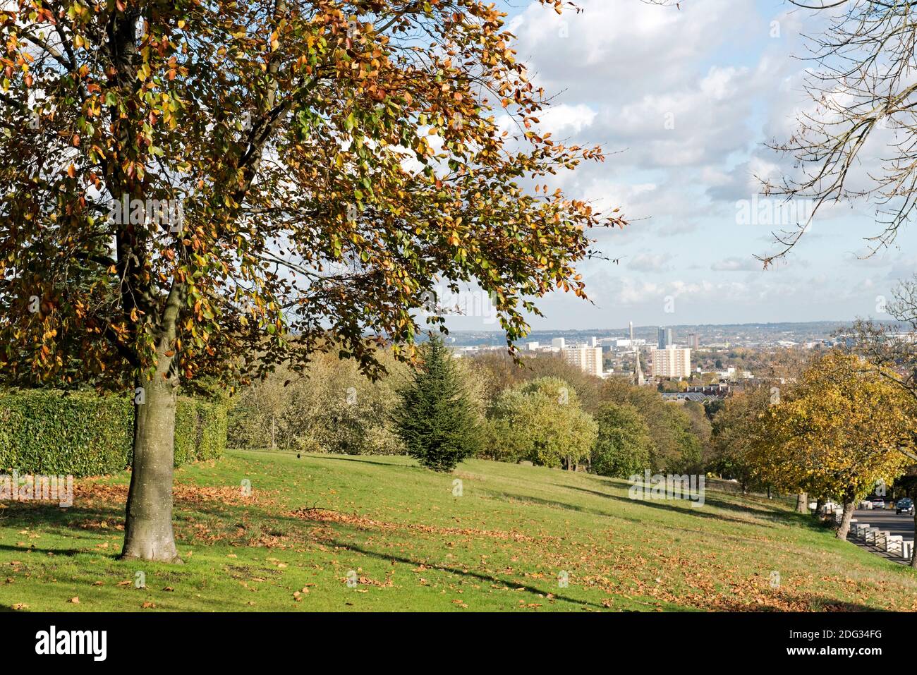 Alexandra Park looking East with tree and city scape, London Borough of ...