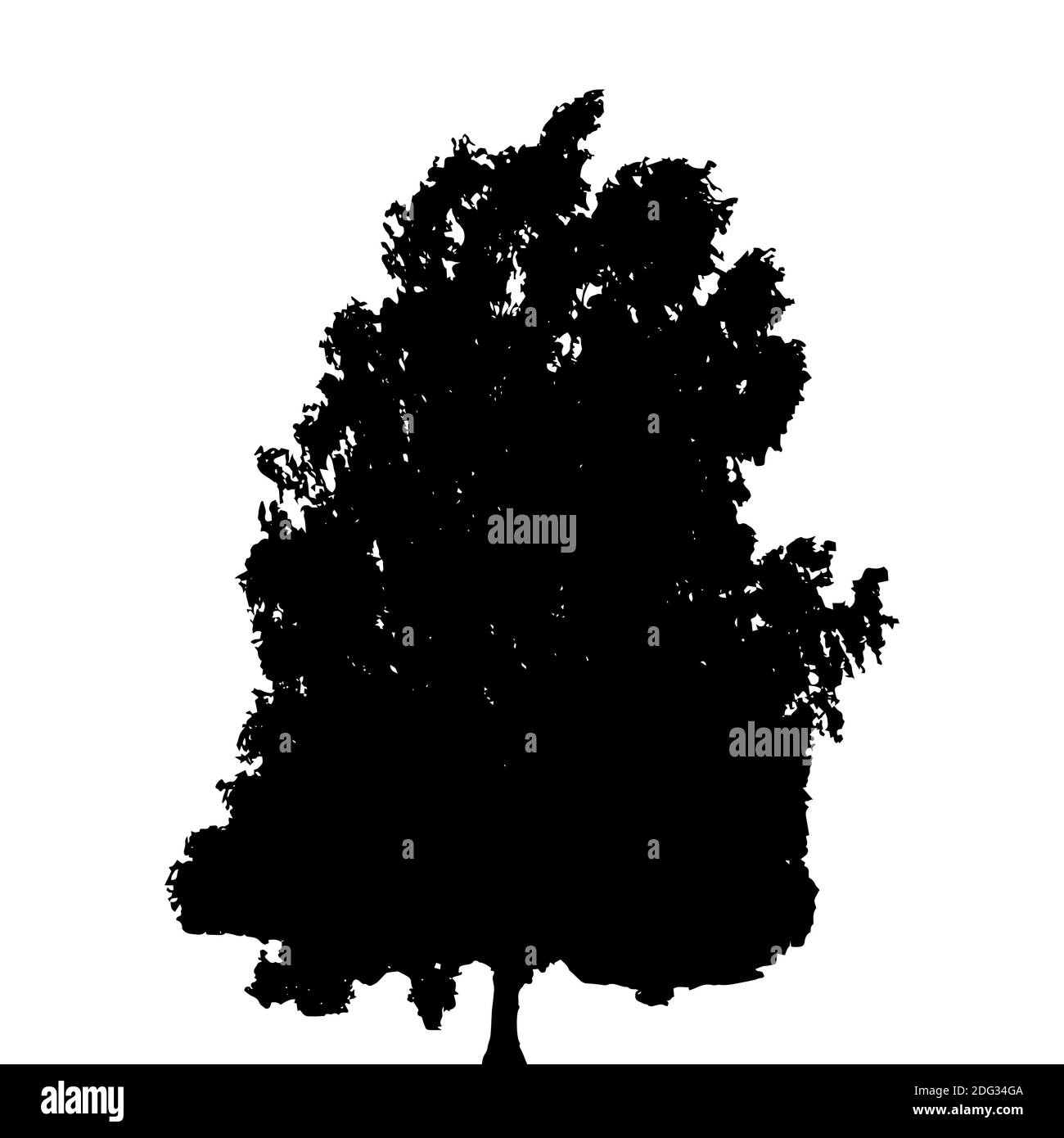 Black and White Silhouette of Deciduous Tree, whose branches develop in ...