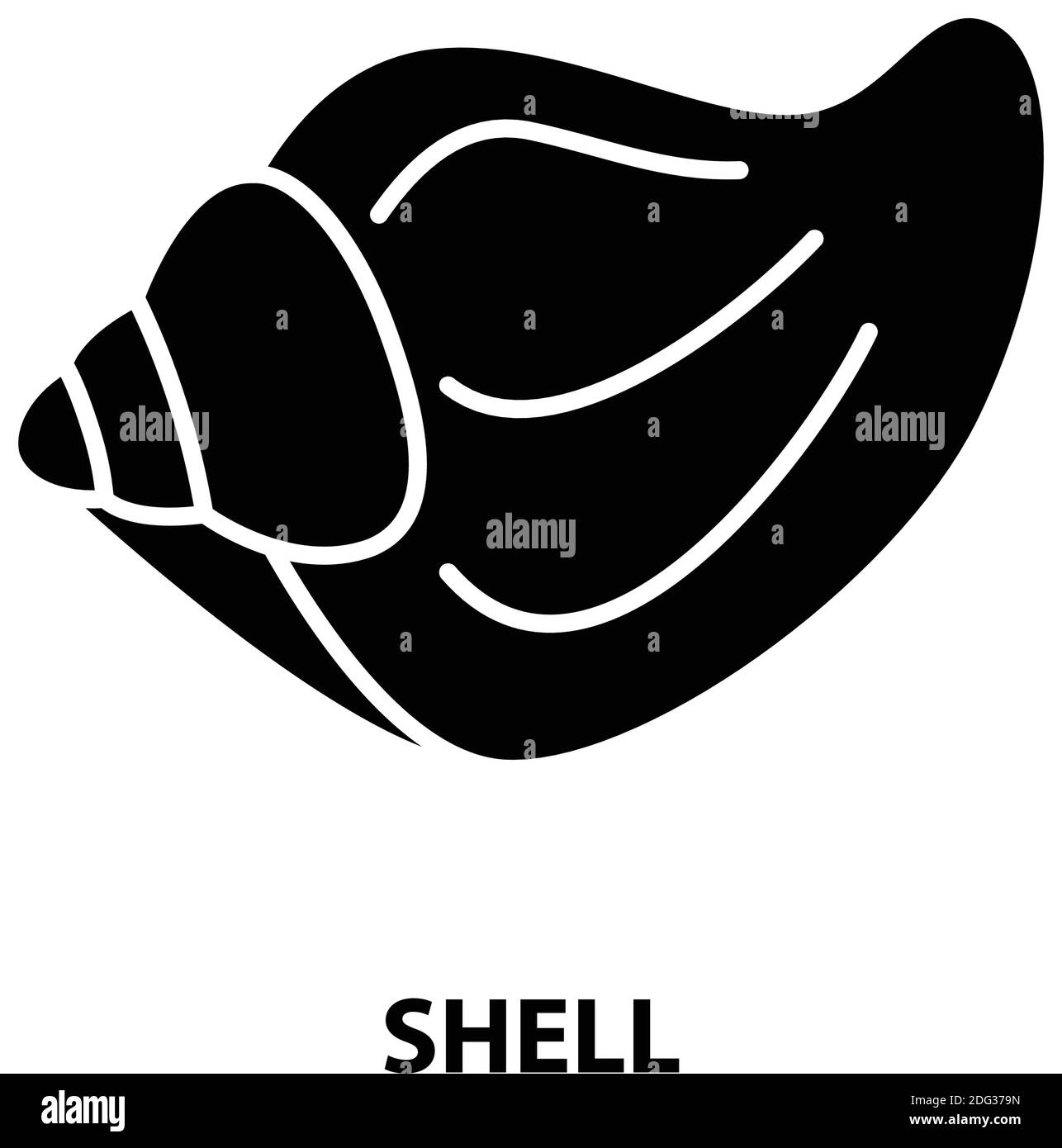 Editable sea shell background Black and White Stock Photos & Images - Alamy