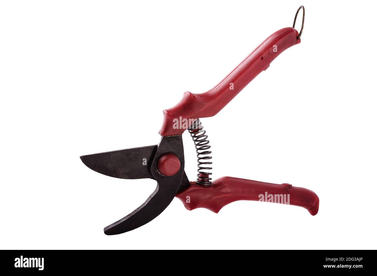 Plastic springs Cut Out Stock Images & Pictures - Alamy