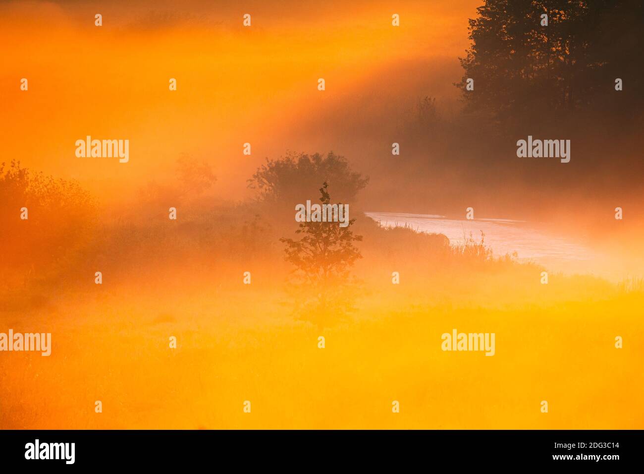 Amazing Sunrise Light Above Misty Landscape. Scenic View Of Foggy ...