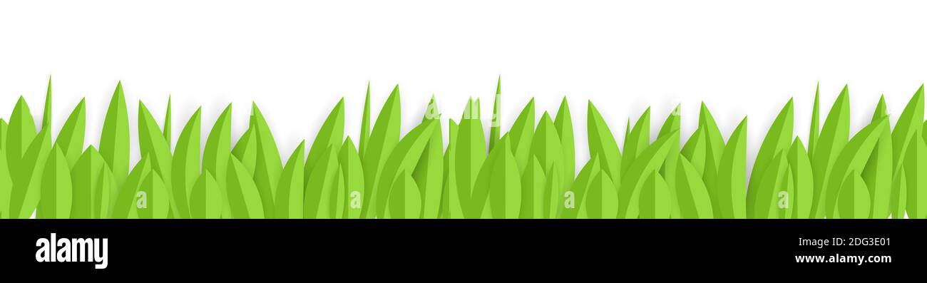 Green paper grass horizontal seamless border design. Illustration Stock ...