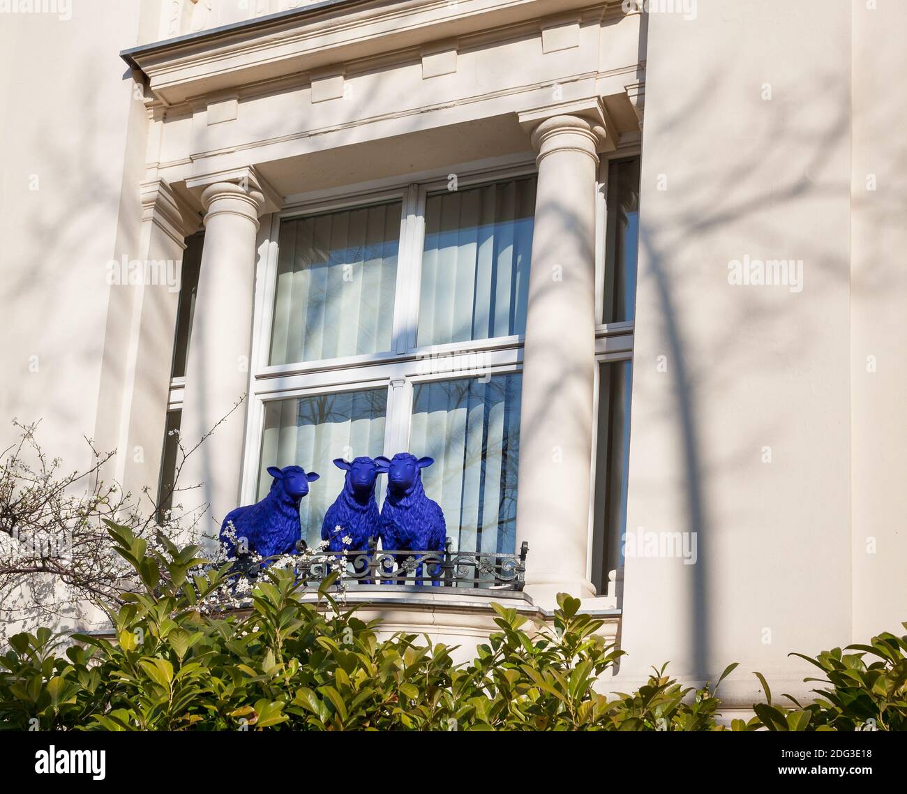 Sheep fun hi-res stock photography and images - Alamy