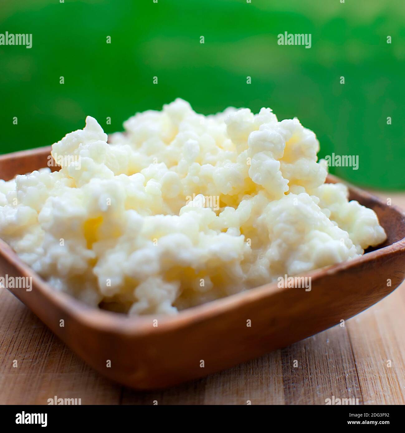 Kefir mushroom hi-res stock photography and images - Alamy