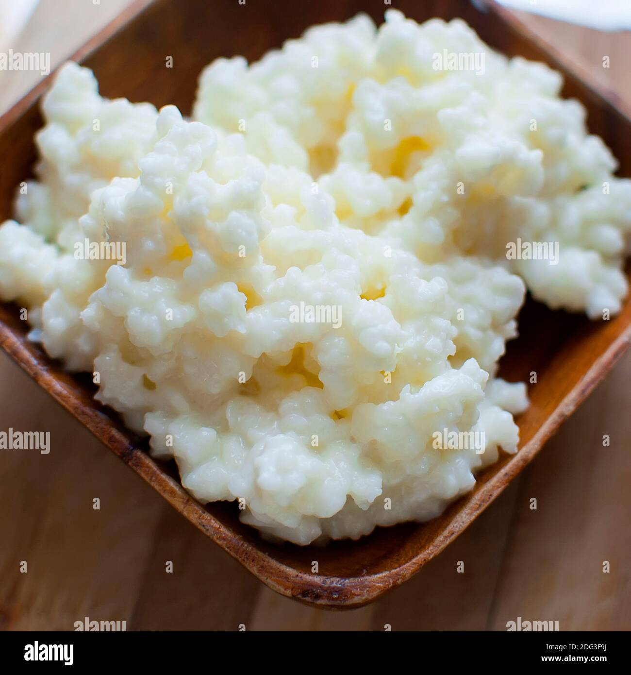 Kefir mushroom hi-res stock photography and images - Alamy